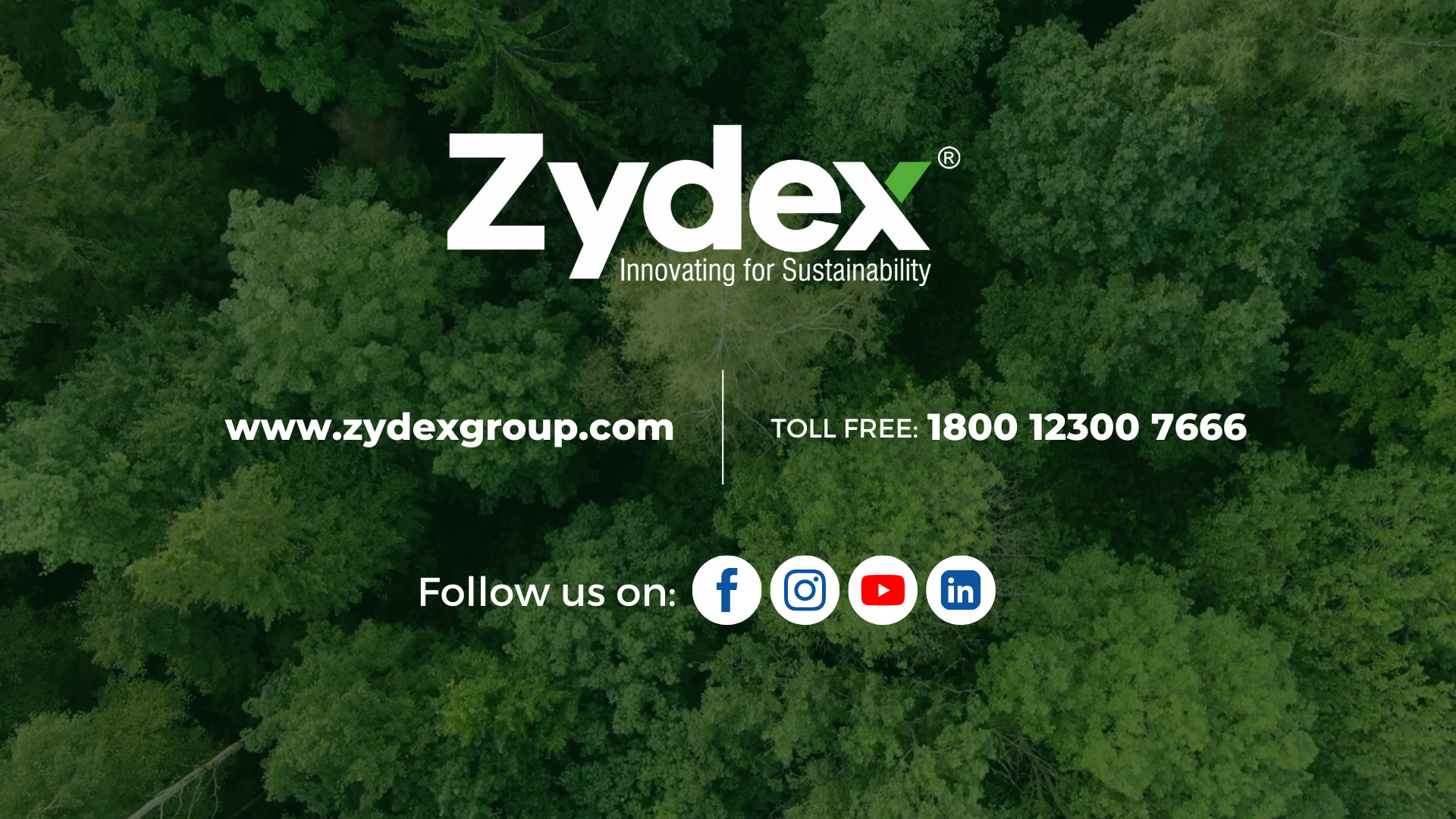 Zydex Group - Specialty Chemicals Company